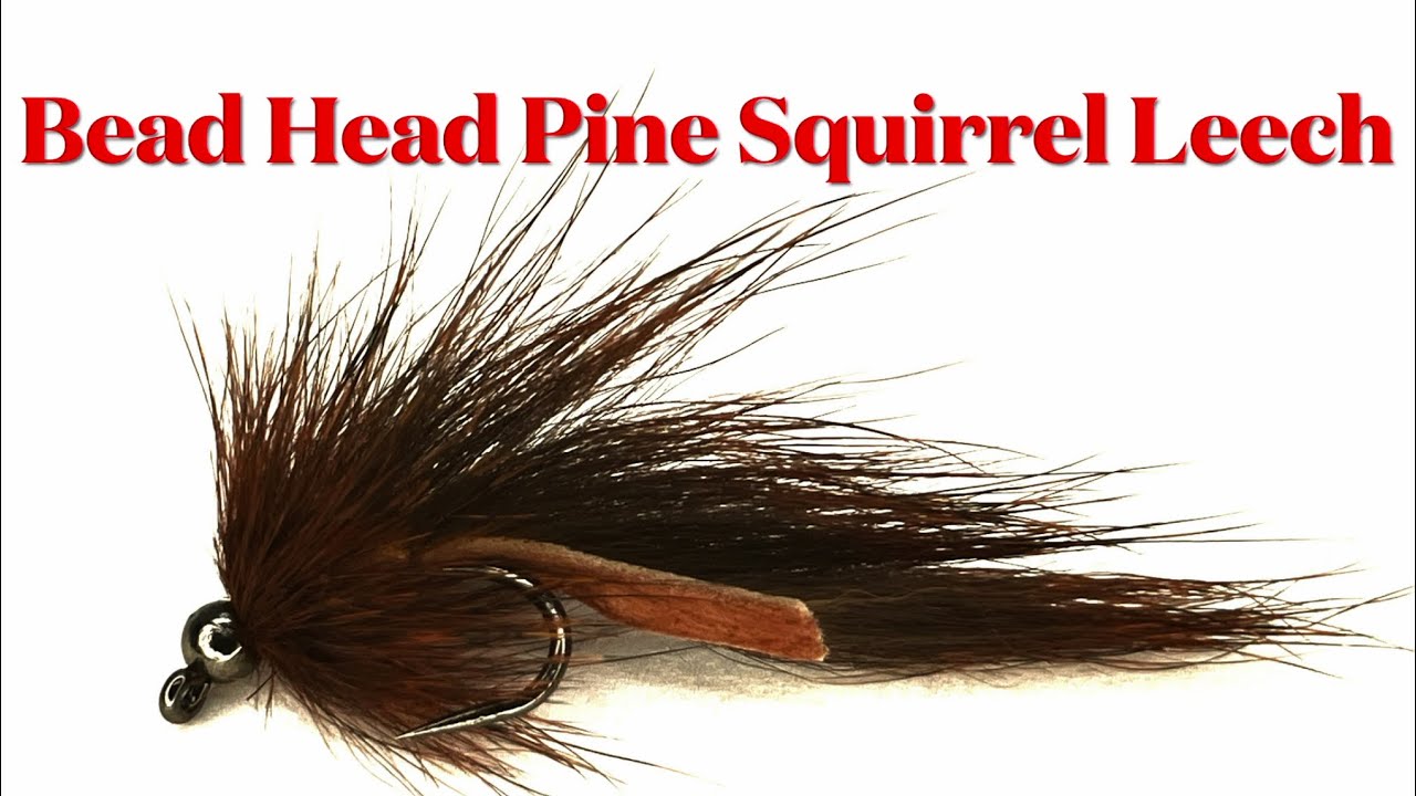 Bead Head Pine Squirrel Leech - YouTube