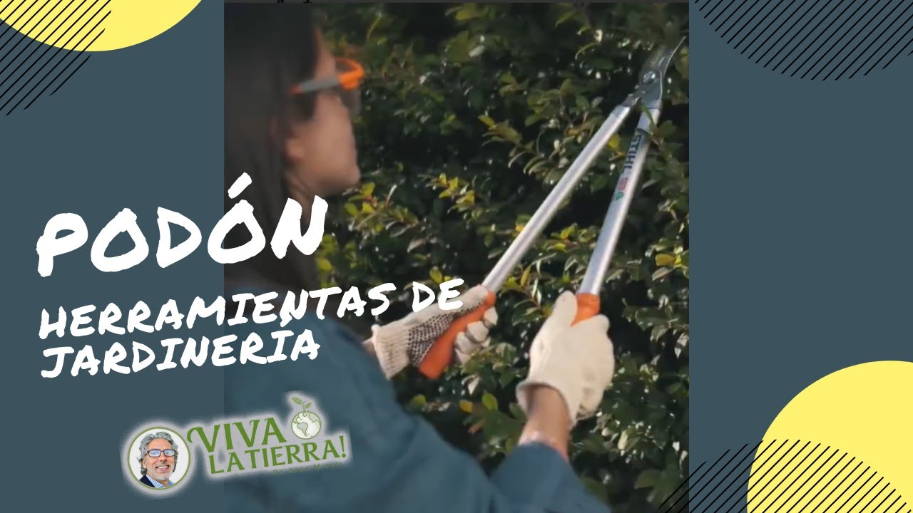 Podón: una herramienta clave para tu jardín - YouTube