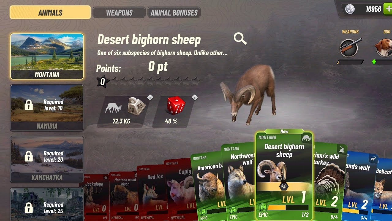 Hunting Clash : Animal Hunting, Desert Bighorn Sheep, American Bison ...