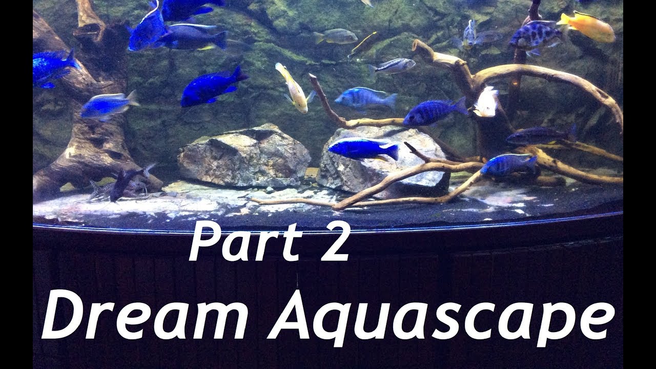 Dream Aquascape- 500 Gallon African Cichlid Rockscape - YouTube