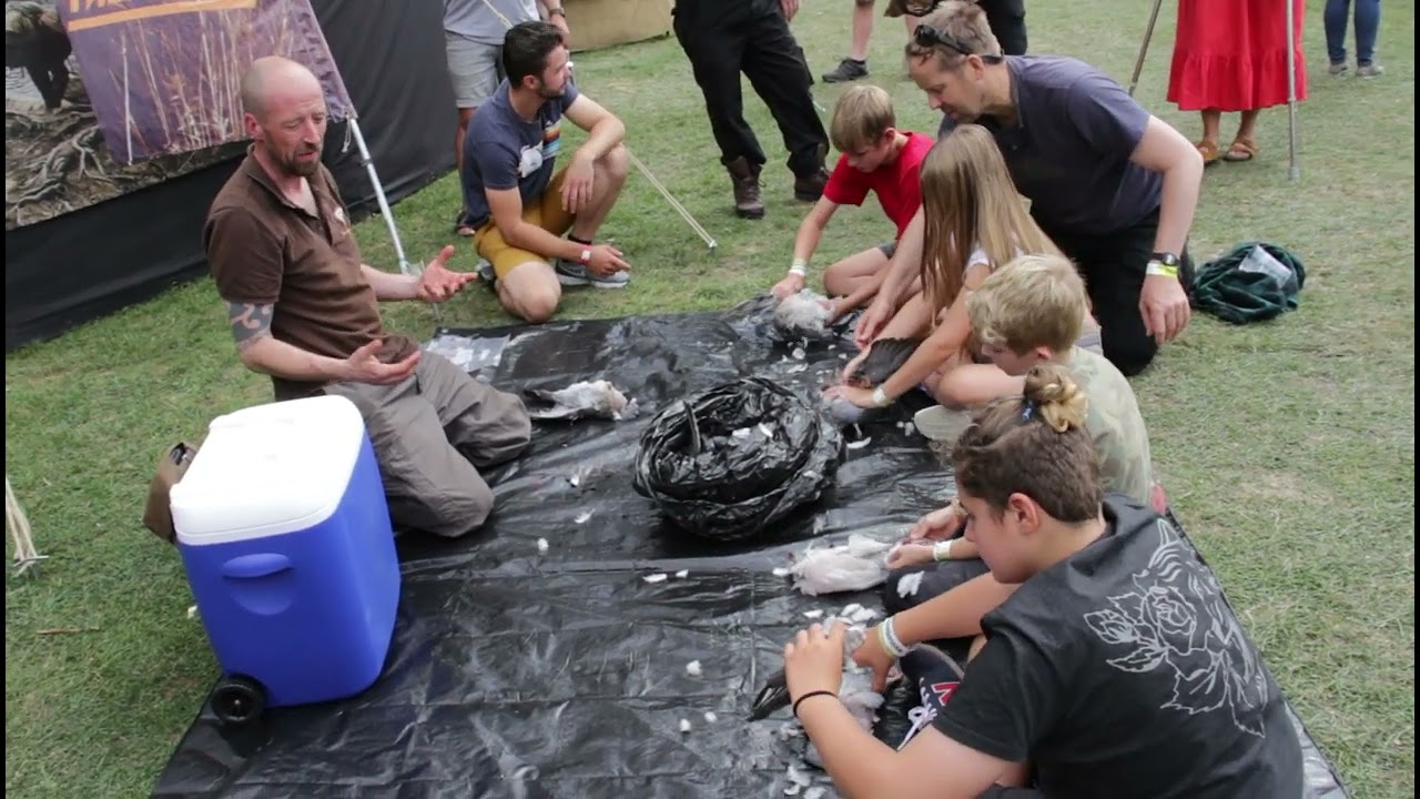 How To Clean A Wood Pigeon | Teaching Kids To Clean A Wood Pigeon ...