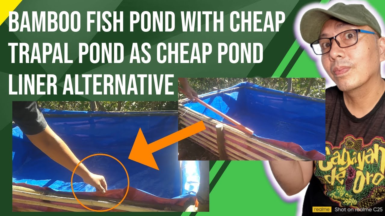 Bamboo fish pond with Cheap Trapal Pond as Cheap Pond liner alternative ...