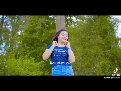 Tiktok gunung gede goyang asik