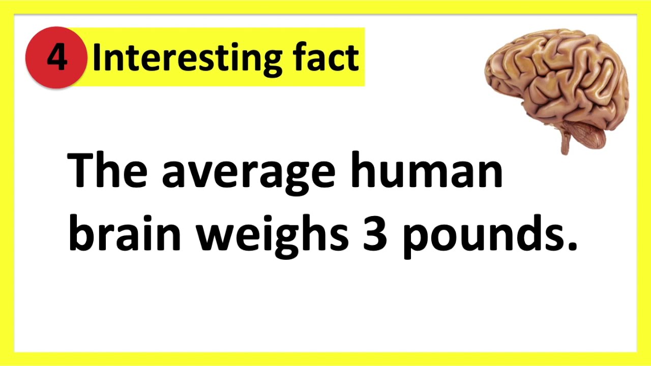 30 interesting facts about the human body 🧠 🦴 - YouTube