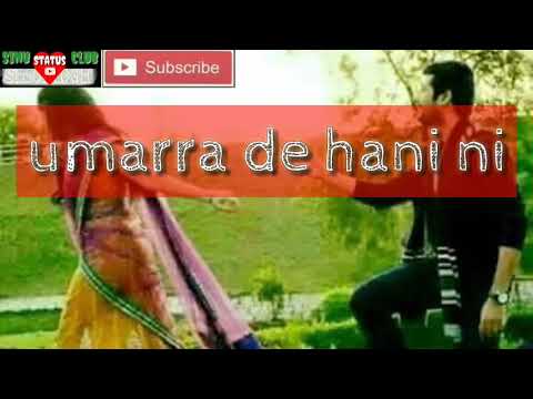 Umrra De Hani | Punjabi Old Song Status