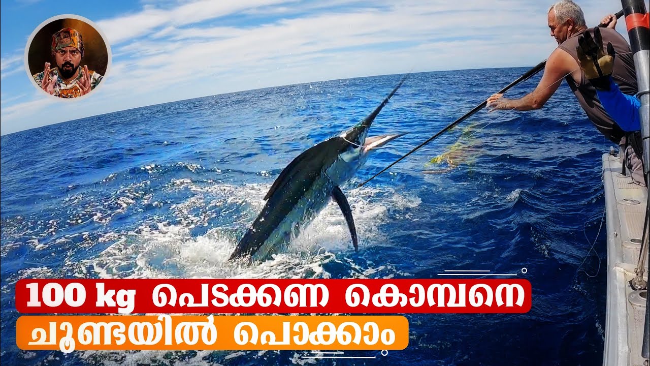 MARLIN FISHING/BEST DEEP SEA FISHING/BEST STRIPE MARLIN/TOP FISHING ...