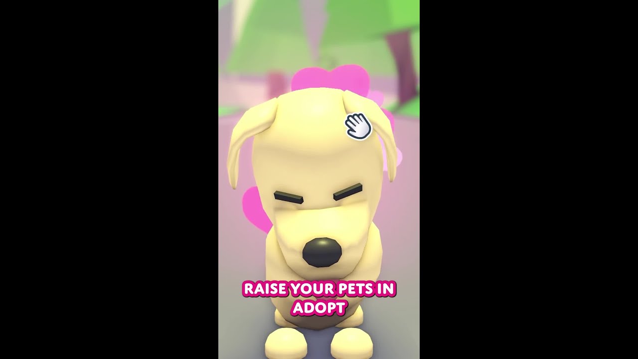 Everything you need to know about the Pet Pen! 🐾🏡 - YouTube