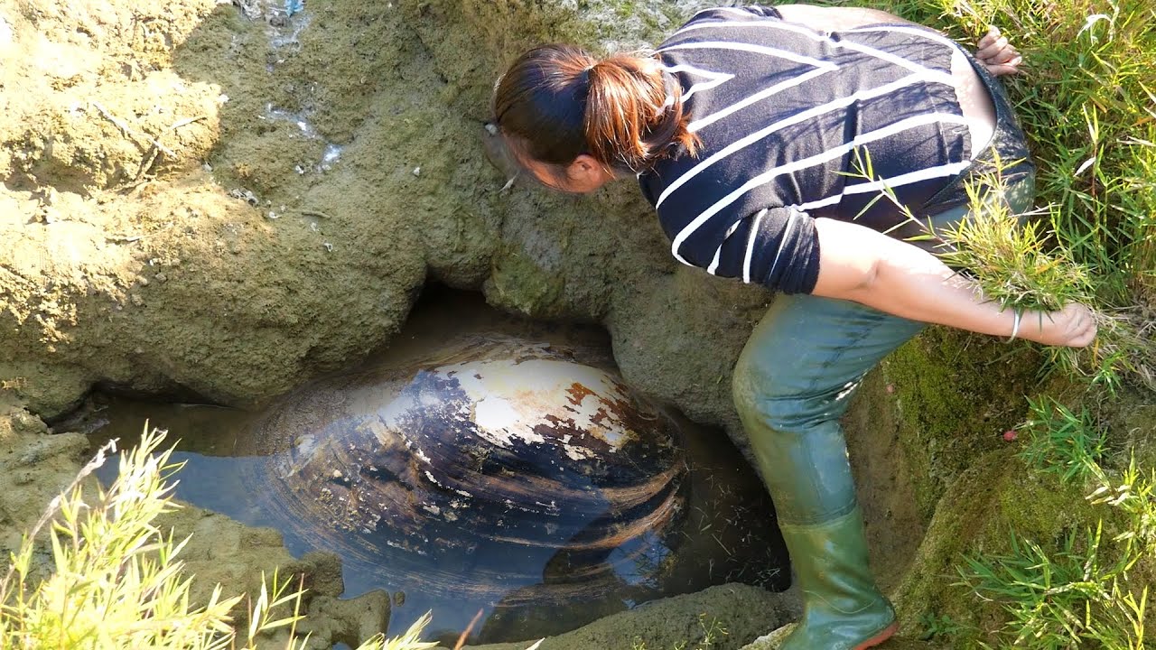 The girl discovered a giant clam in the pit, containing countless ...