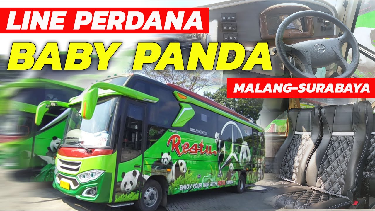BABY RESTU PANDA ATB.. Review Edisi Line Perdana Restu Panda Medium🔥 ...