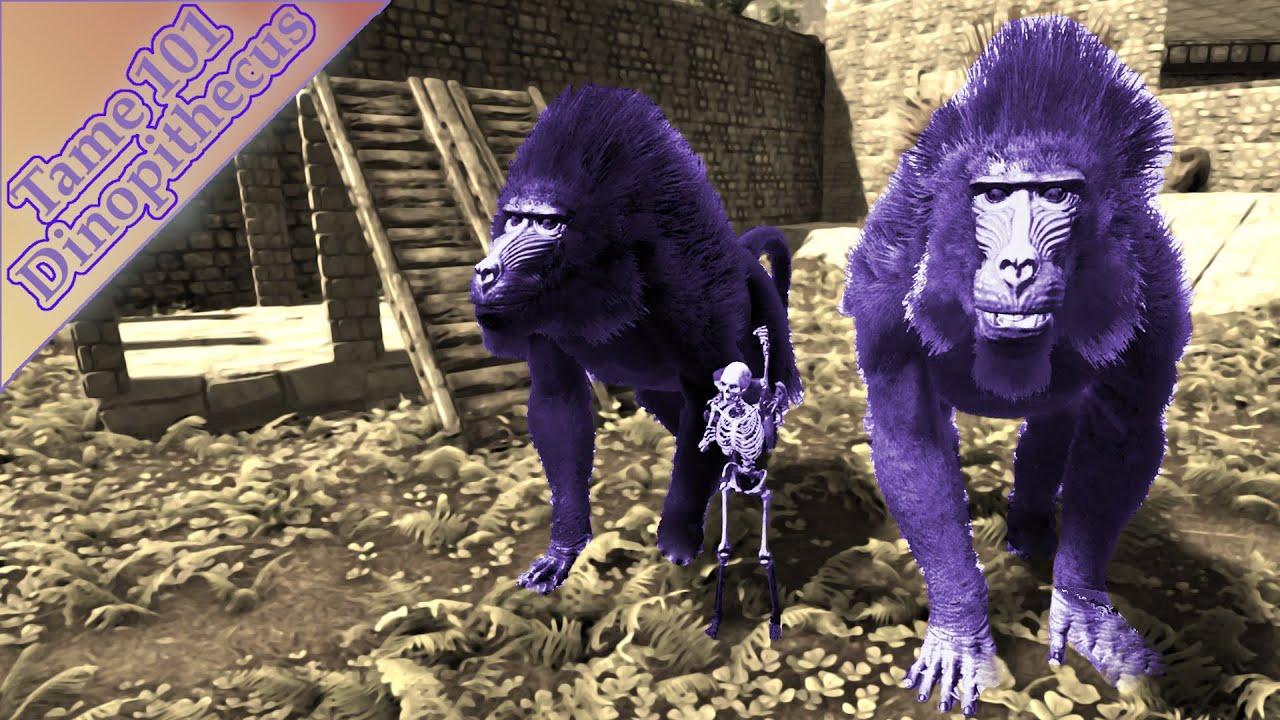Taming 101 : Dinopithecus | Ark Survival Evolved - YouTube