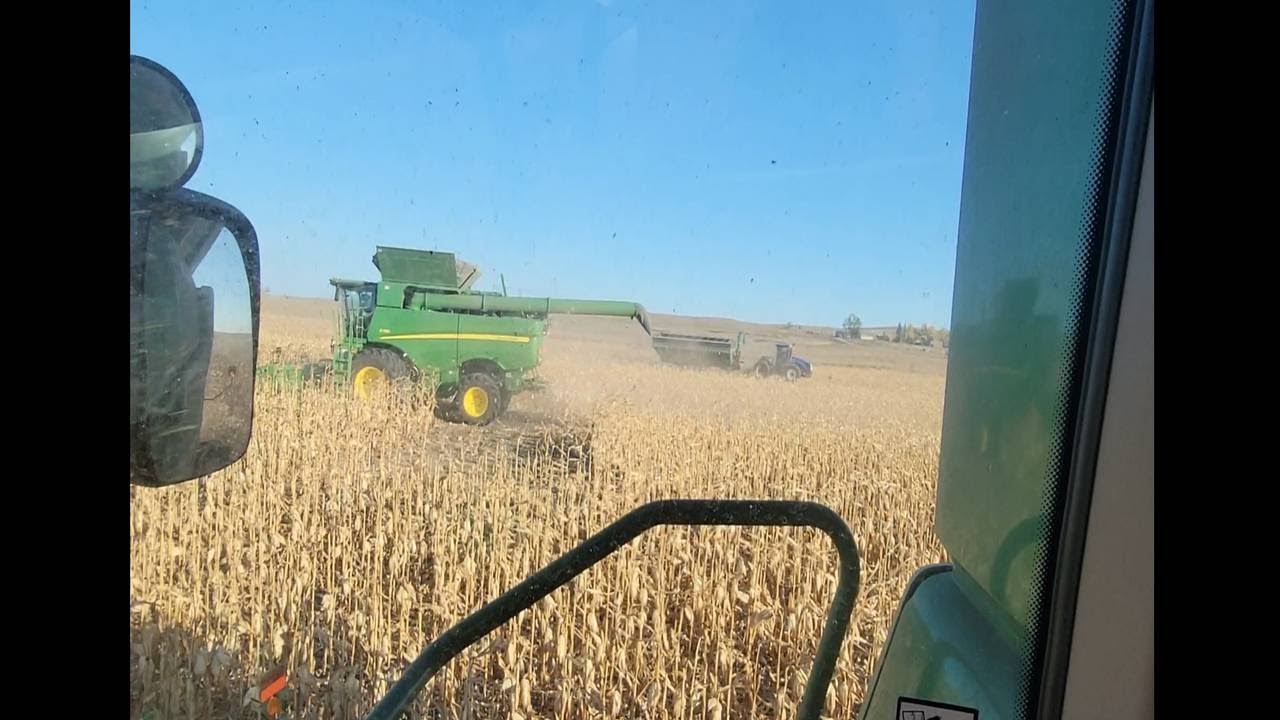 Combines Drag Racing In Corn - YouTube