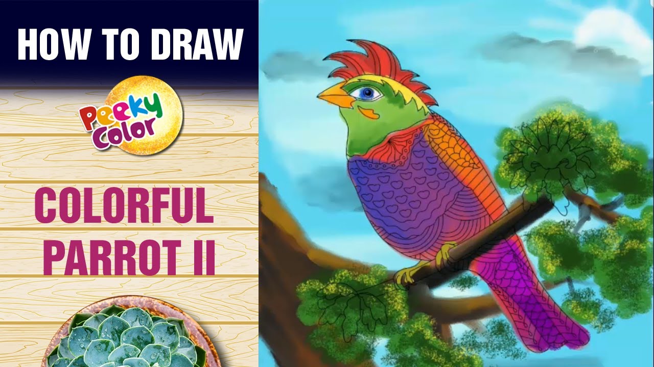 How to draw colorful parrot II - Coloring pages | Peeky Color - YouTube