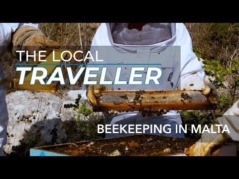 Sweet Maltese Honey & Beekeeping | EP: 8, part 2 | The Local Traveller with Clare Agius | Malta