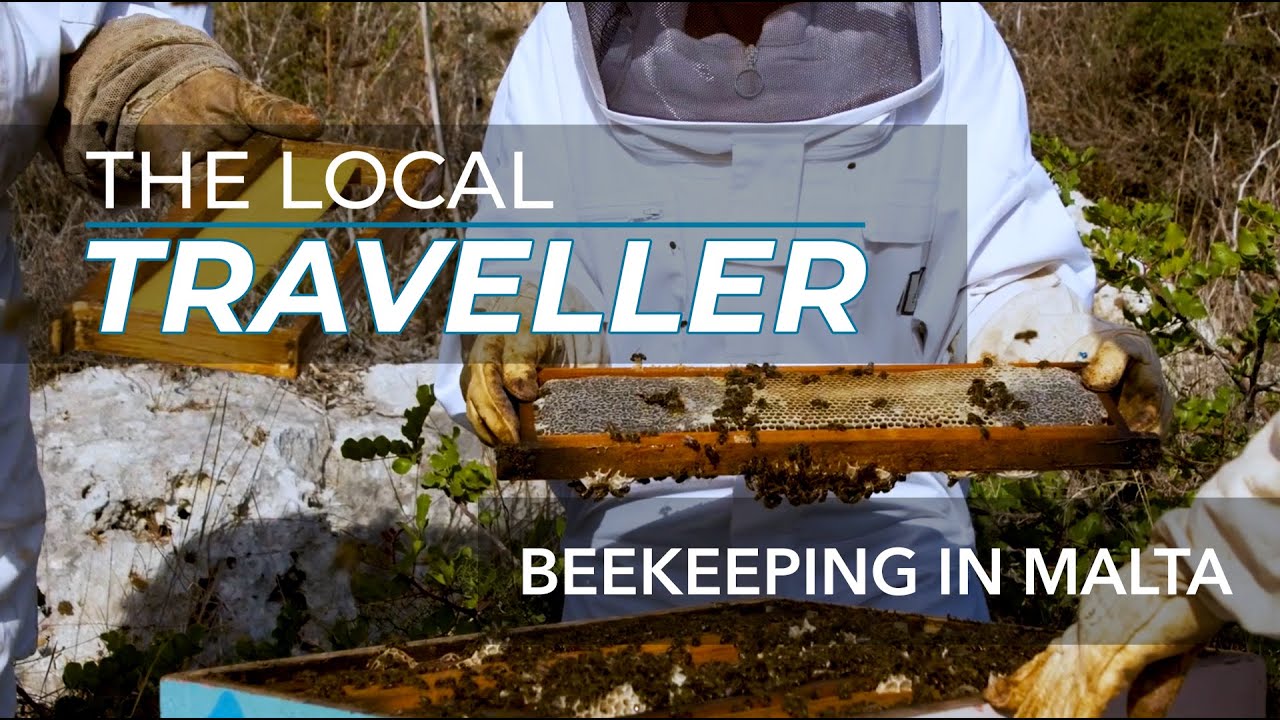 Sweet Maltese Honey & Beekeeping | EP: 8, part 2 | The Local Traveller ...