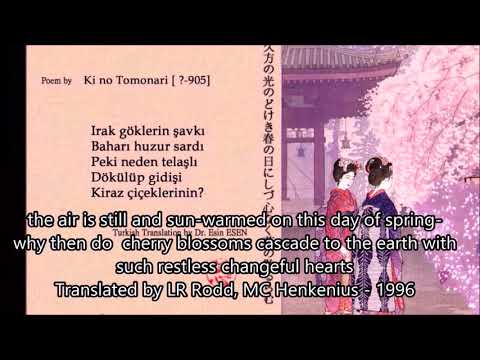 Japon Waka Şiiri/ Ki no Tomonari ( 紀友則 )