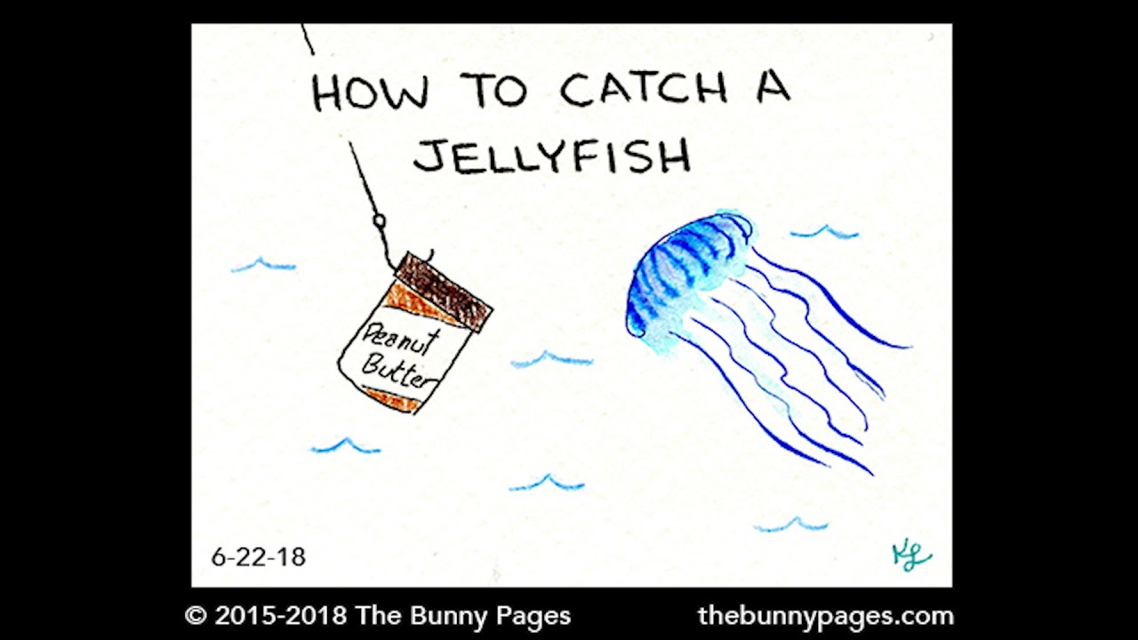 The Bunny Pages FedEx Grant Contest - YouTube