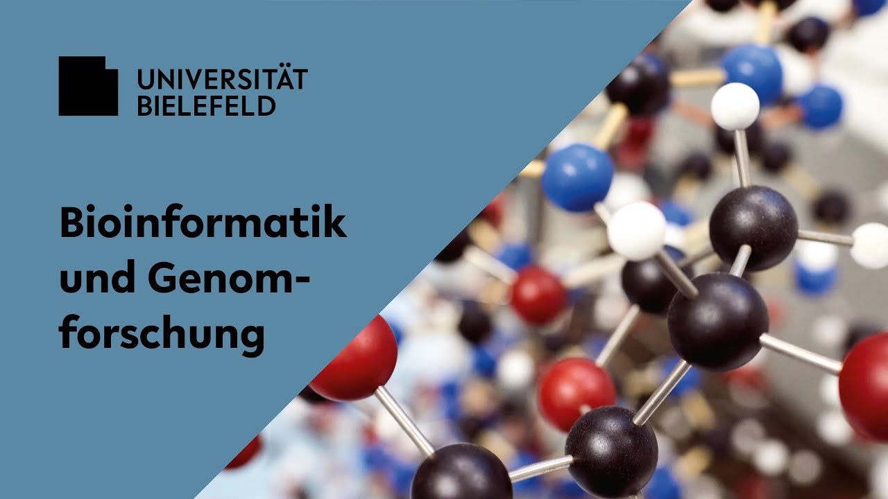 Bioinformatik und Genomforschung studieren an der Universität Bielefeld ...
