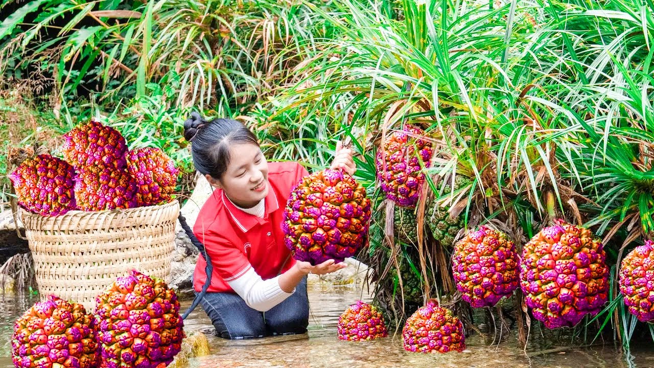 WOMAN Harvesting Forest Pineapple Go to the market to sell | Build life farm | Tieu Tam Daily ...