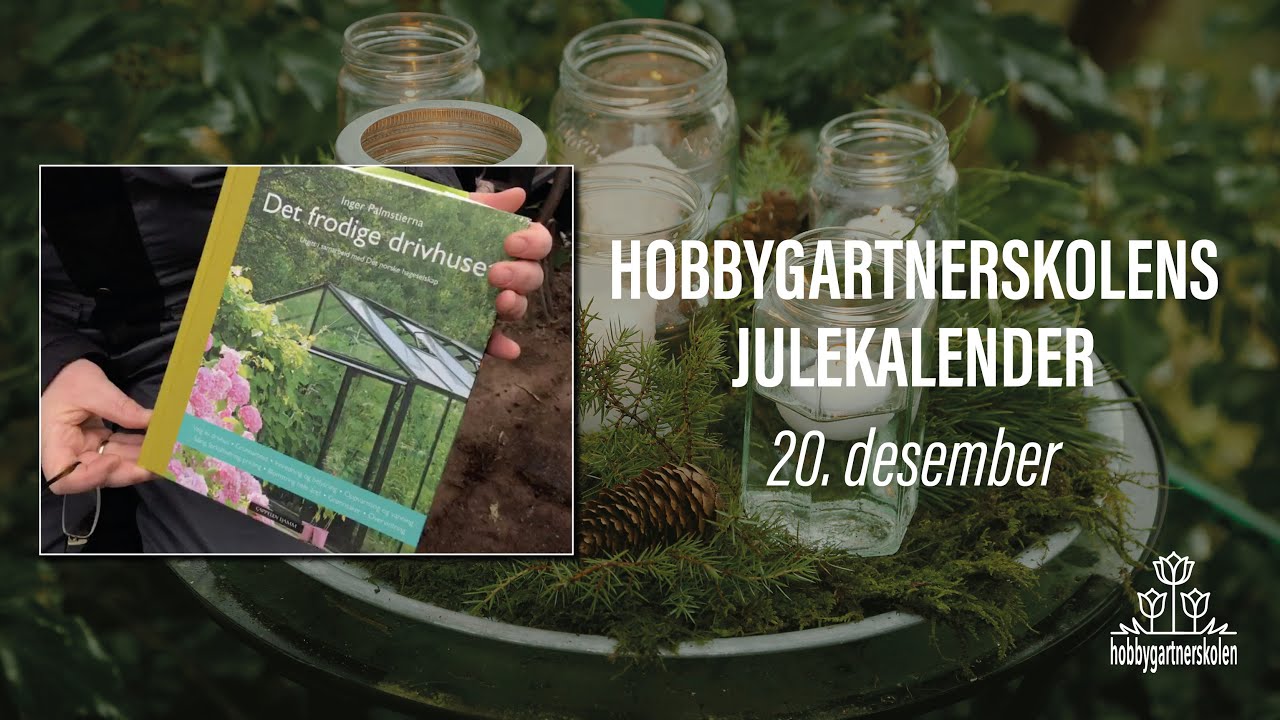 JULEKALENDER: 20. DESEMBER - YouTube