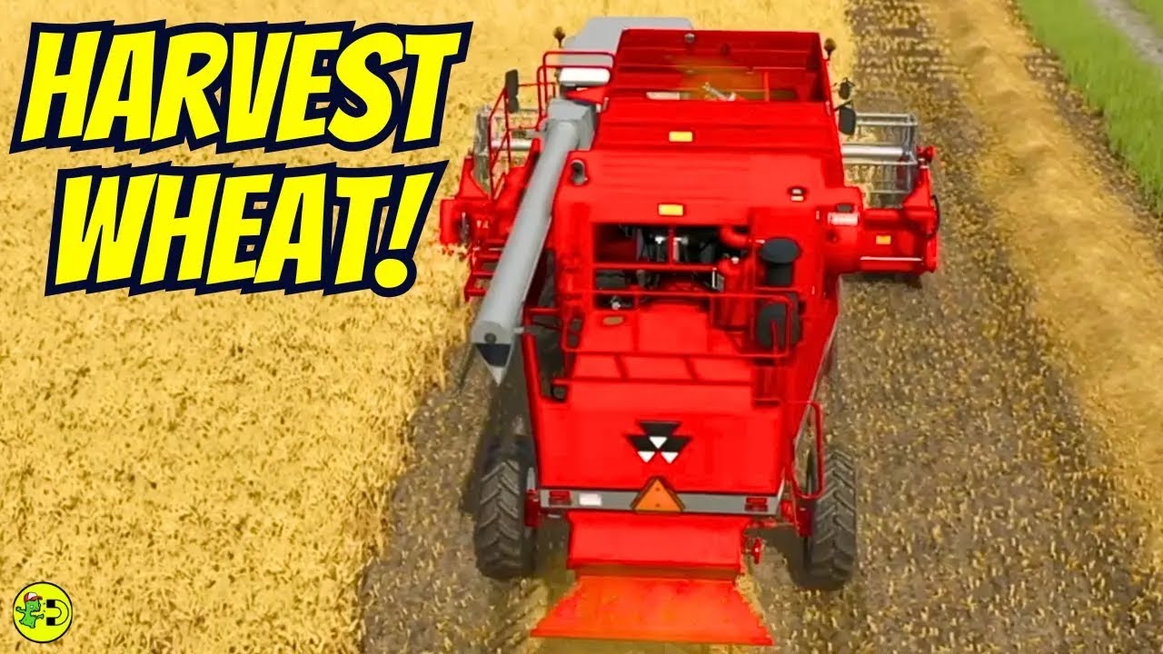 Farming Simulator 25 How to Harvest Wheat & Sell Grain - YouTube
