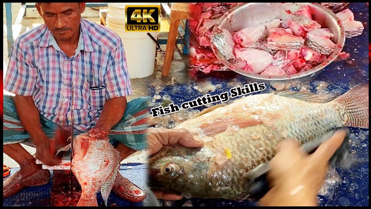 Most Popular Big Size Tilapia Fish Cutting || 4K VIDEO || Fish End ...