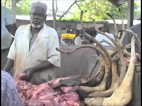 dernier jour ramadan garoua b