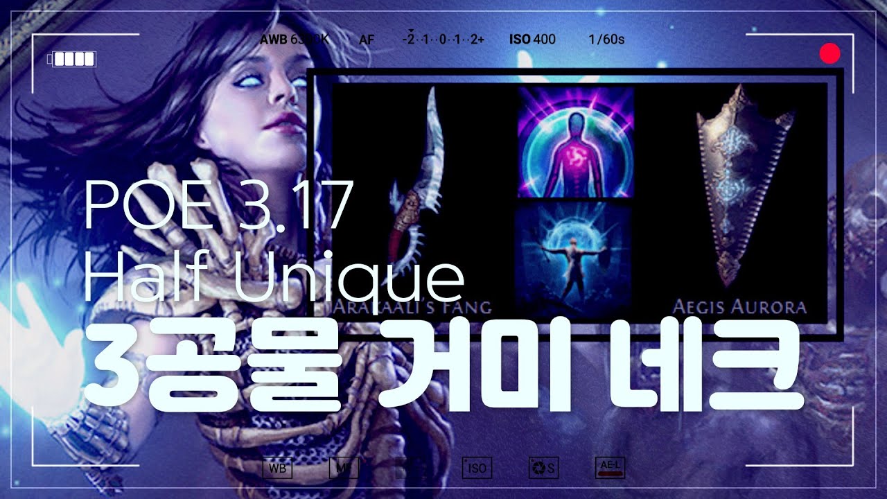 POE 3.17 ) 너무 단단한 '3공물 거미 네크로맨서' 가이드! / Half Unique CI 3Offering Spider ...