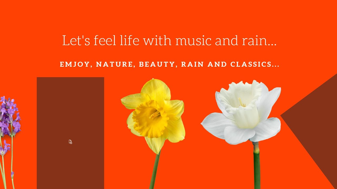 People enjoying rain | soothing music | nature | True Talez - YouTube