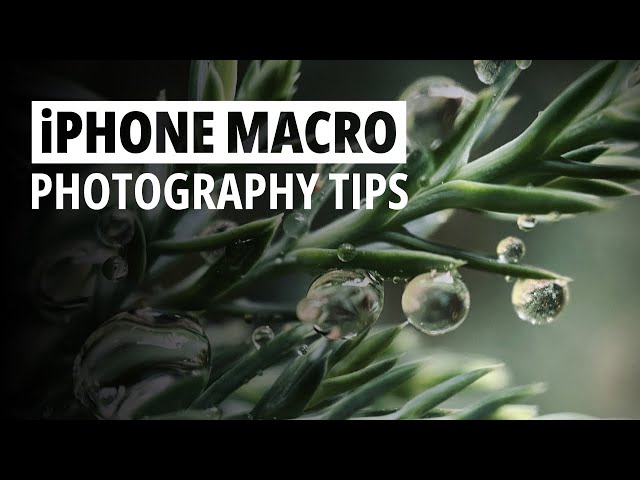 Ipod For Macro Lenses Explained