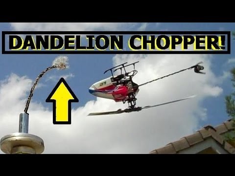 AMAZING RC Micro-Helicopter Flying! (flying weed-whacker) - YouTube