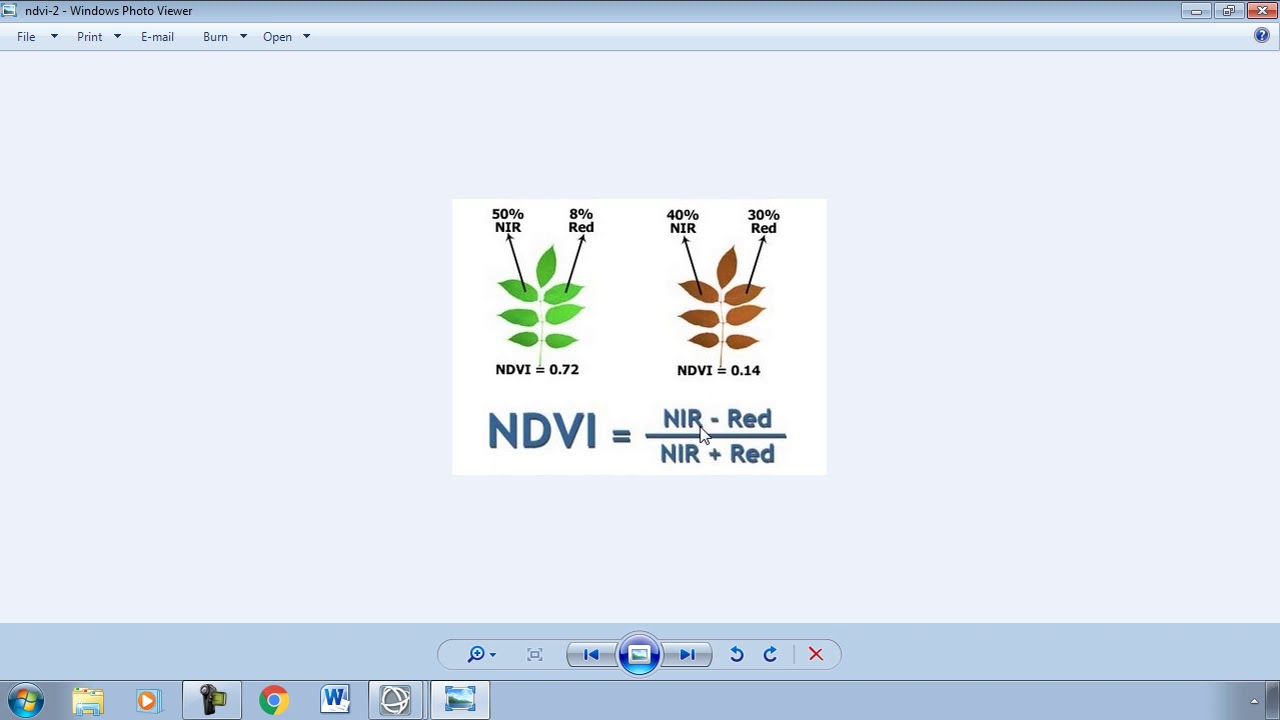 Create Information of Vegetation (NDVI Formula) | by Satellite ...