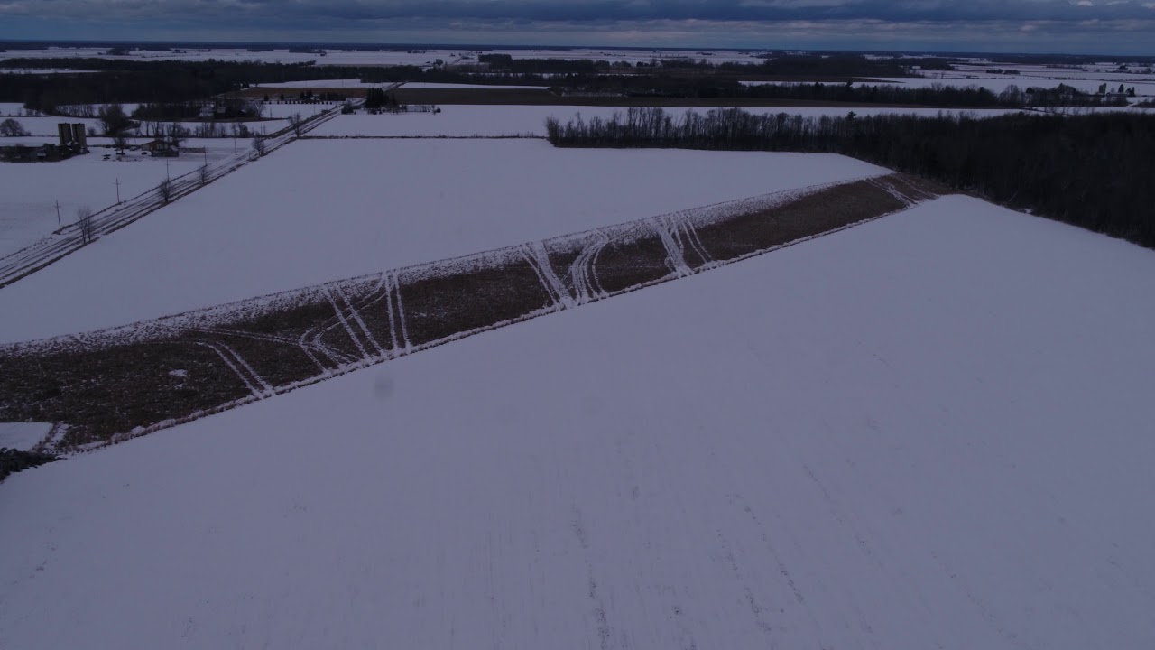 Filion Farms - Tract 8 (77.88± Acres, 69.19± tillable, 4.3± wooded, 8. ...