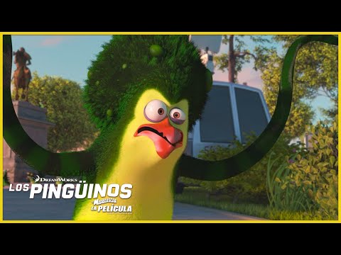 Ocasiones en que los pingüinos han sido más listos que Dave 🐧 | DreamWorks Madagascar