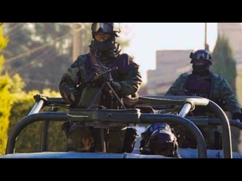 FUERZAS ESPECIALES DE MÉXICO//SEDENA-FER🦇 - YouTube