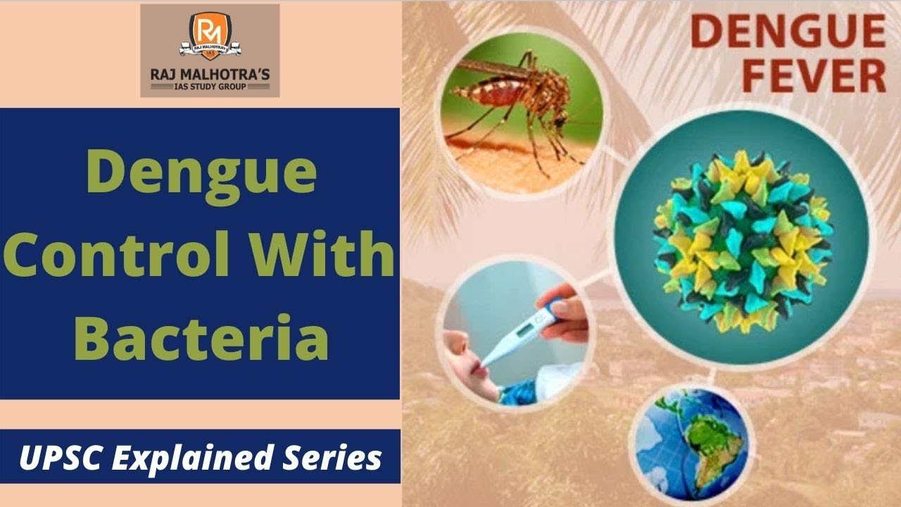 Dengue Fever Explained for UPSC | Science & Technology | 2020 - YouTube