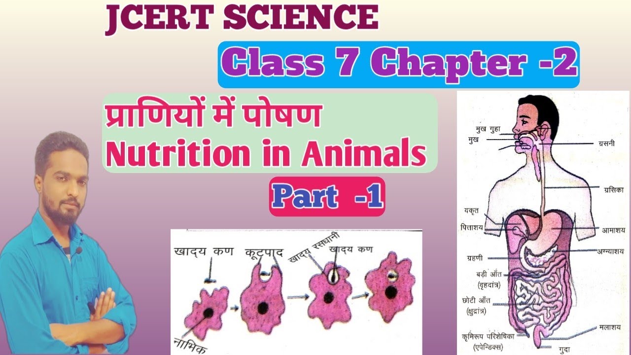 JCERT Class 7 Science Chapter 2 प्राणियों में पोषण Part -1 | Nutrition ...