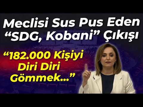 Ayşegül Doğan'dan Meclisi buz kesen SDG ve Kobani çıkışı: 182 bin kişiyi diri diri...