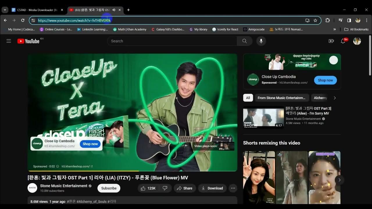 Java Project - Media Downloader Project Video Demo - YouTube