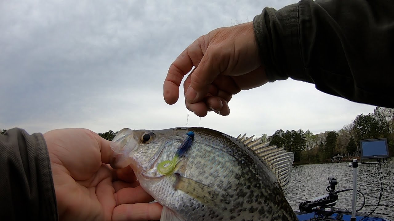 Hot Tail Grubs Mix/What Is The Best color Grub/Spring grub colors - YouTube