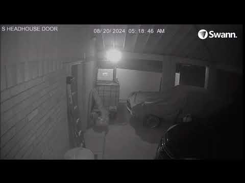 Live bats flying around my house - YouTube