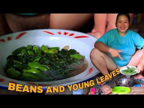 Fresh From the Garden! Spicy Beans and Leaves Recipe #mp8 #mp88 #mpp88