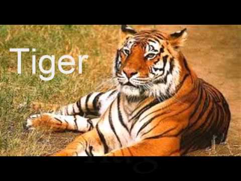 National Things, Things of National Importance, Indian National Things ...