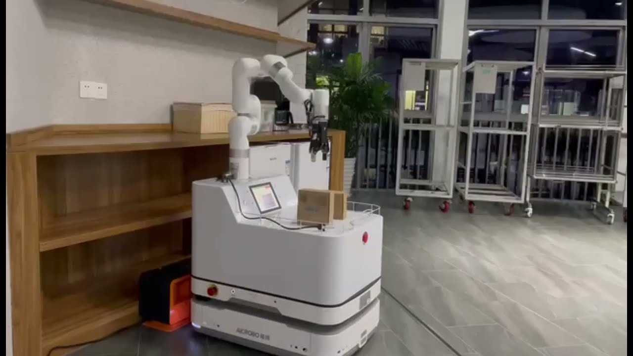 Mobile Manipulator Cobot AMR For Autonomous Gripping and Delivery In ...