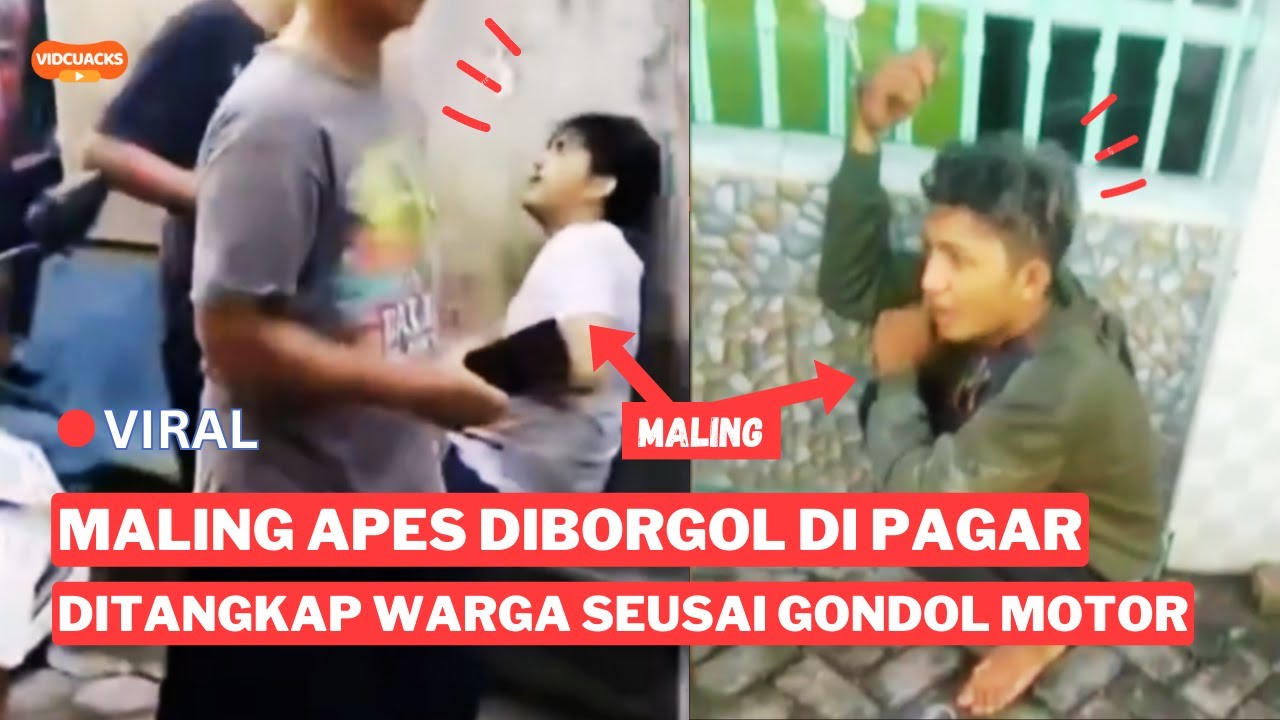MALING APES! TERTANGKAP DAN DIBORGOL DIPAGAR RUMAH OLEH WARGA #maling # ...