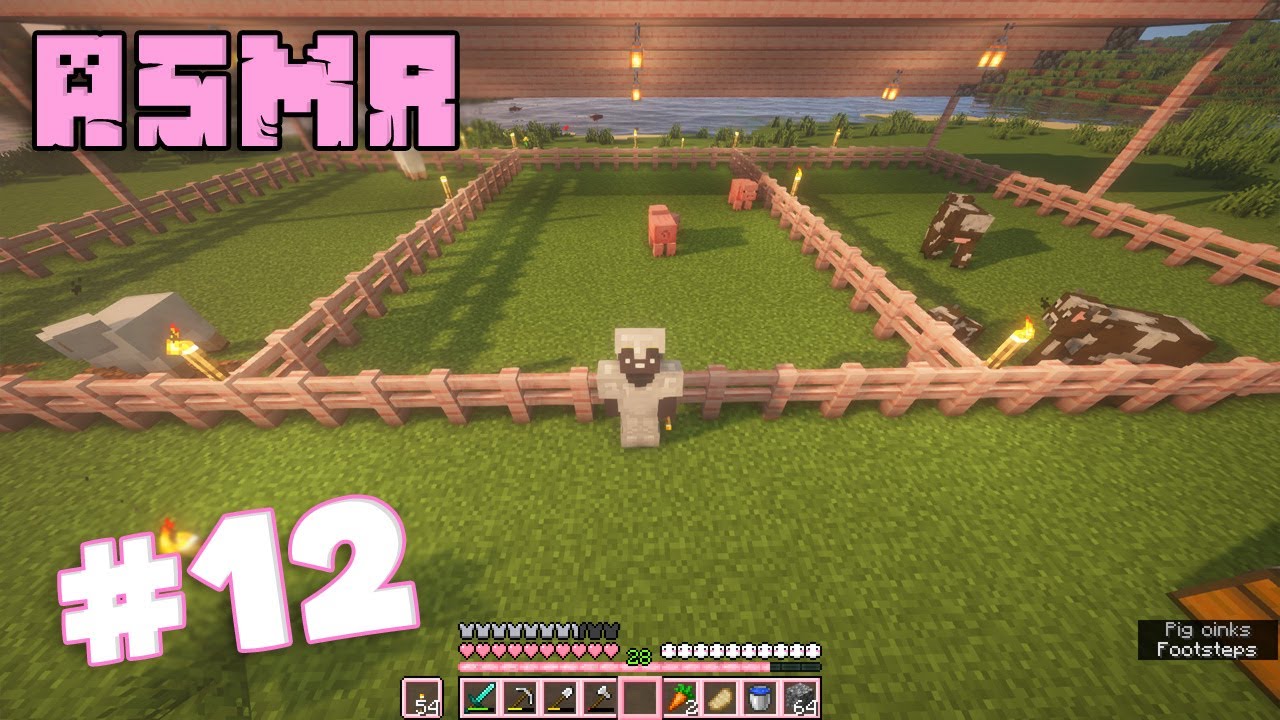 [ASMR] Minecraft Survival #12 - Animal Farm 🐄 - YouTube