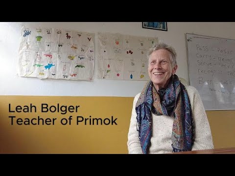 Lead Bolger Teacher Interview - YouTube