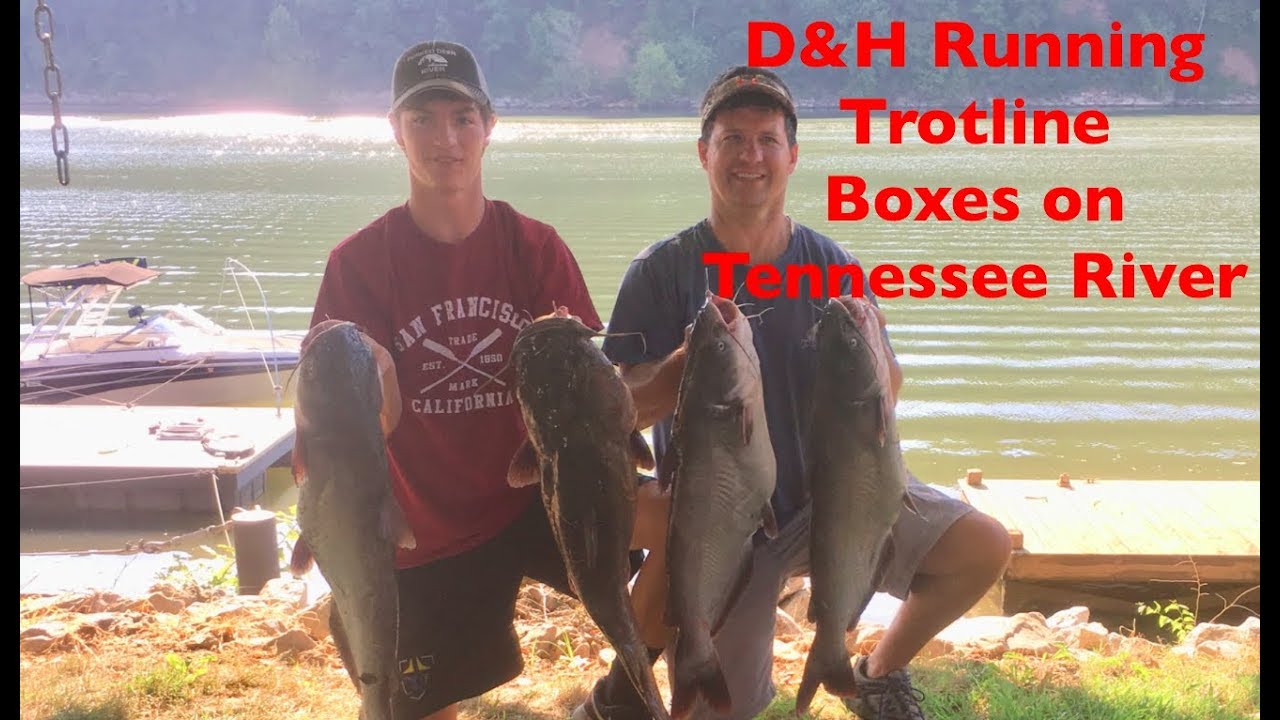 D&H Running Trotline Boxes on Tennessee River - YouTube