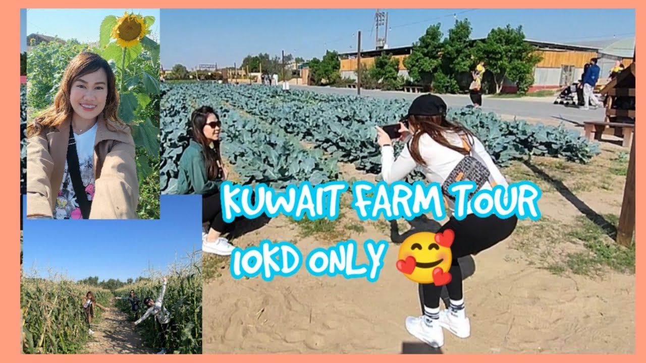 10KD FARM TOUR IN KUWAIT with FREE SNACKS AND BBQ DINNER 🥰 ️ - YouTube