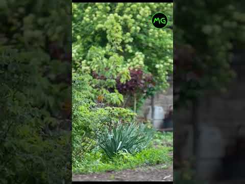 Aşağı Ağcakənd Qəsəbəsi. 27.04.2023/Həvəskar Çəkiliş..