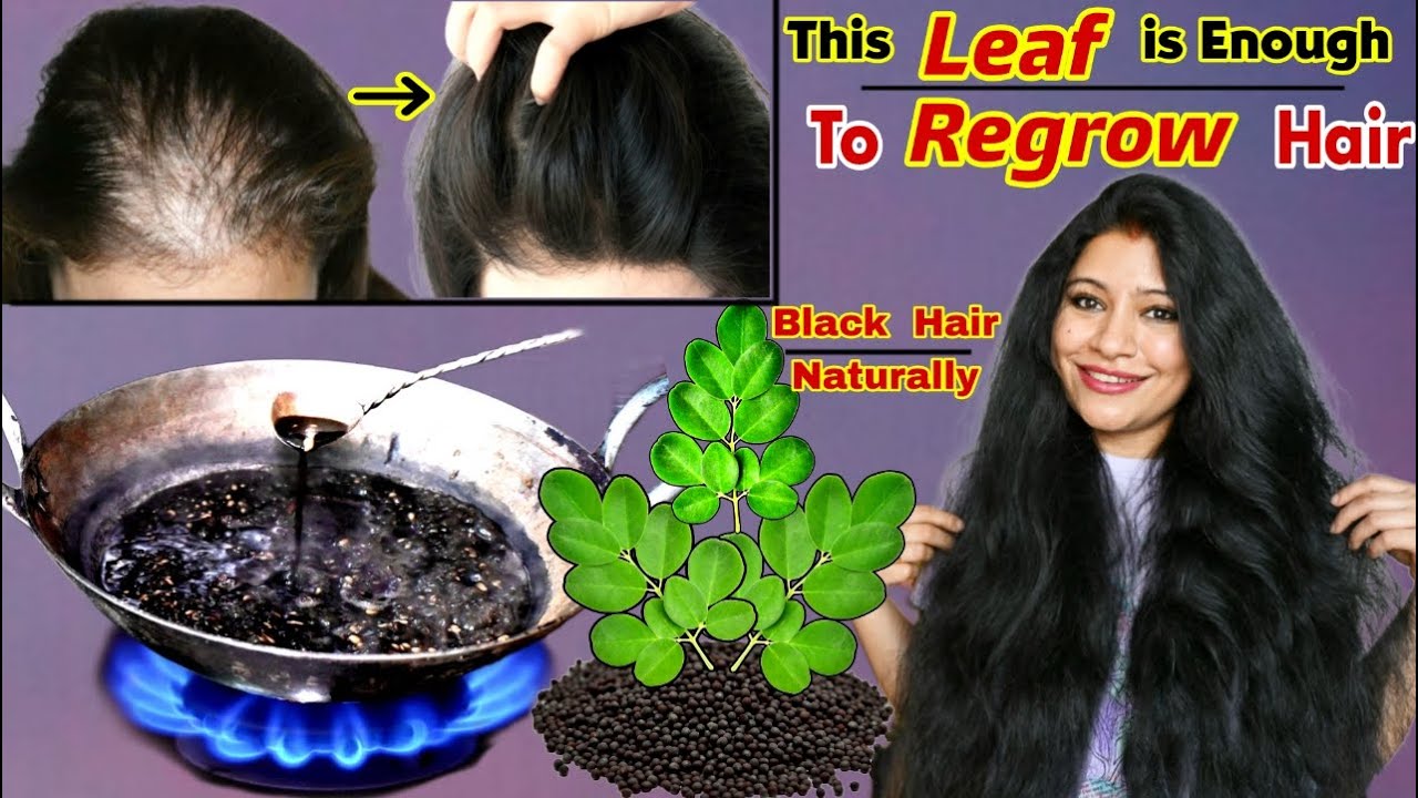 This Leaf Gel Regrow Hair & Makes Hair Black Naturally:Use These Leaves ...